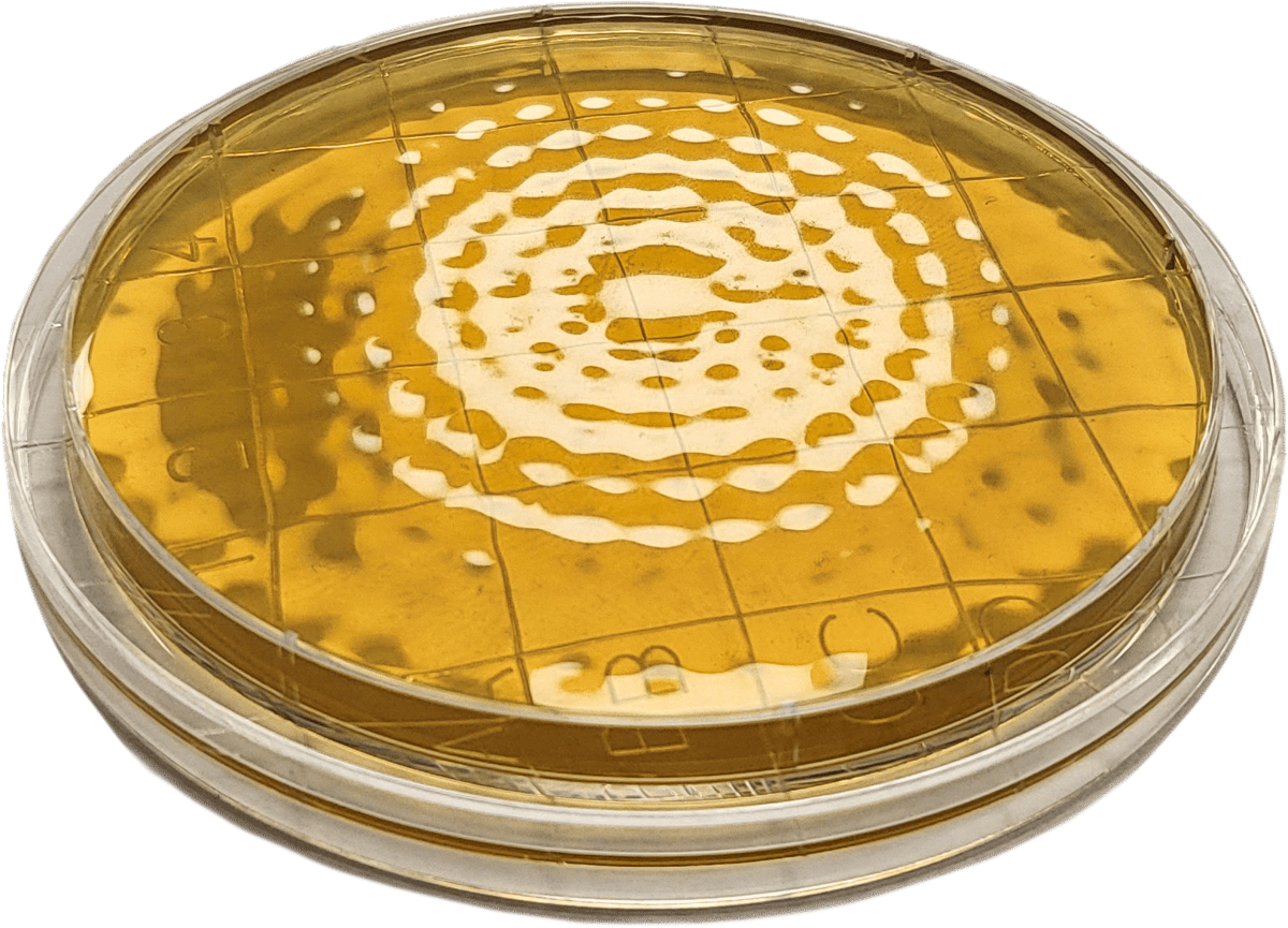 Cherwell | Understanding IQOQ and PQ Processes in Environmental Monitoring