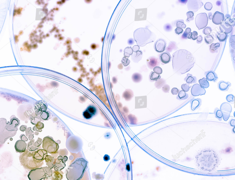 Redipor Growth Media Type - Sabouraud Dextrose Agar (SDA) Neutralisers