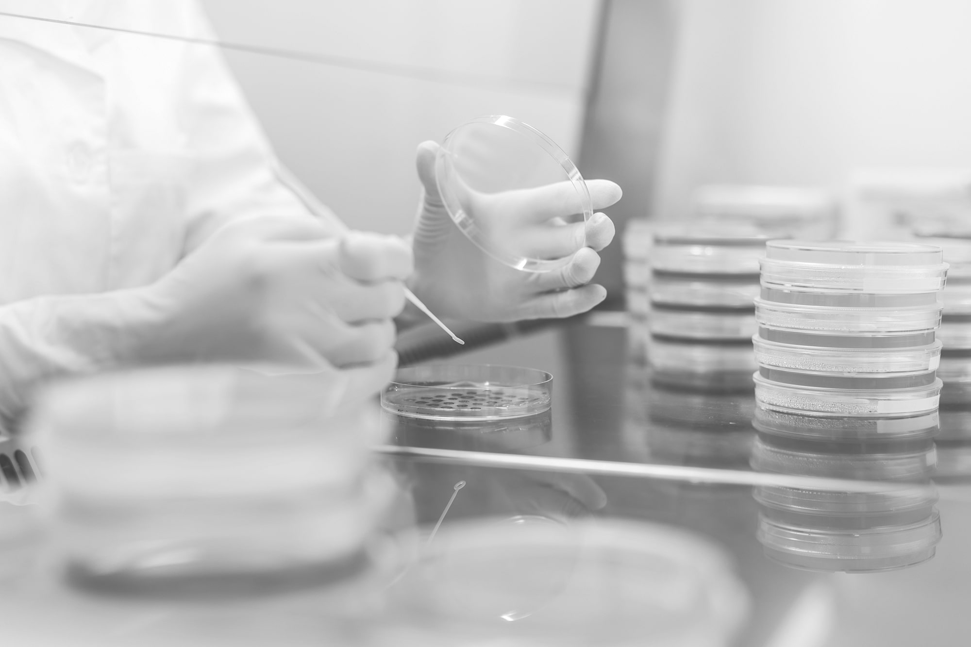 Does Plate Choice Change Sampling Accuracy lp