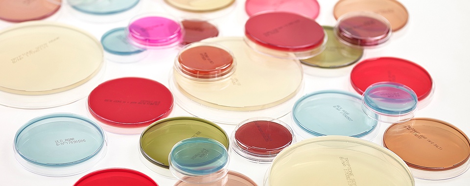 Cherwell | How to Store Prepared Media Plates