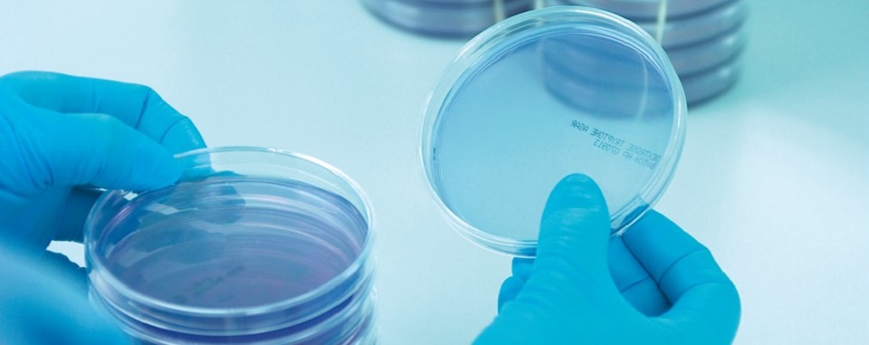 Cherwell | Monitoring the clean room