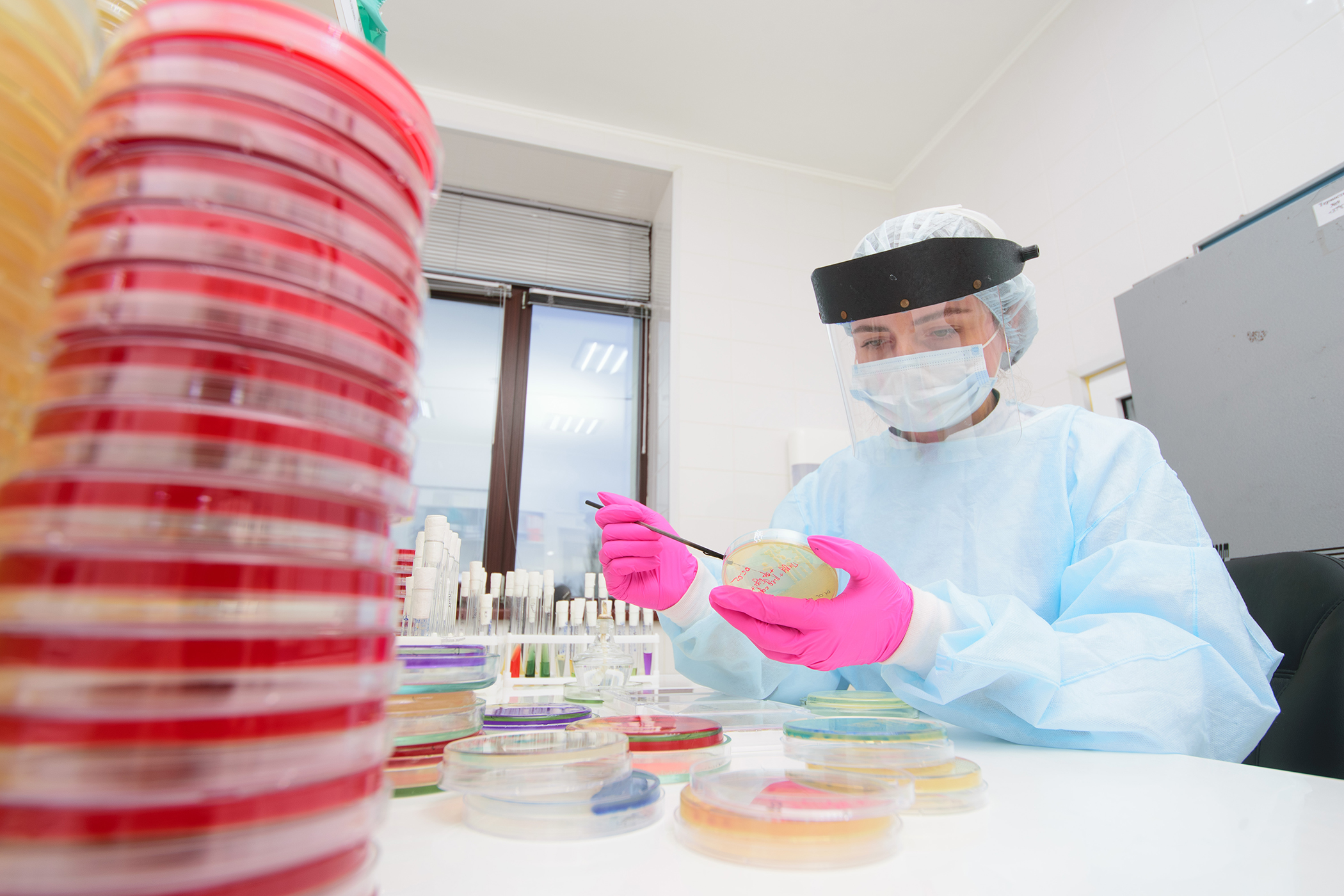 Redipor Growth Media Types